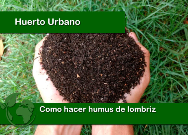 Como hacer humus de lombriz 🌱 TPH