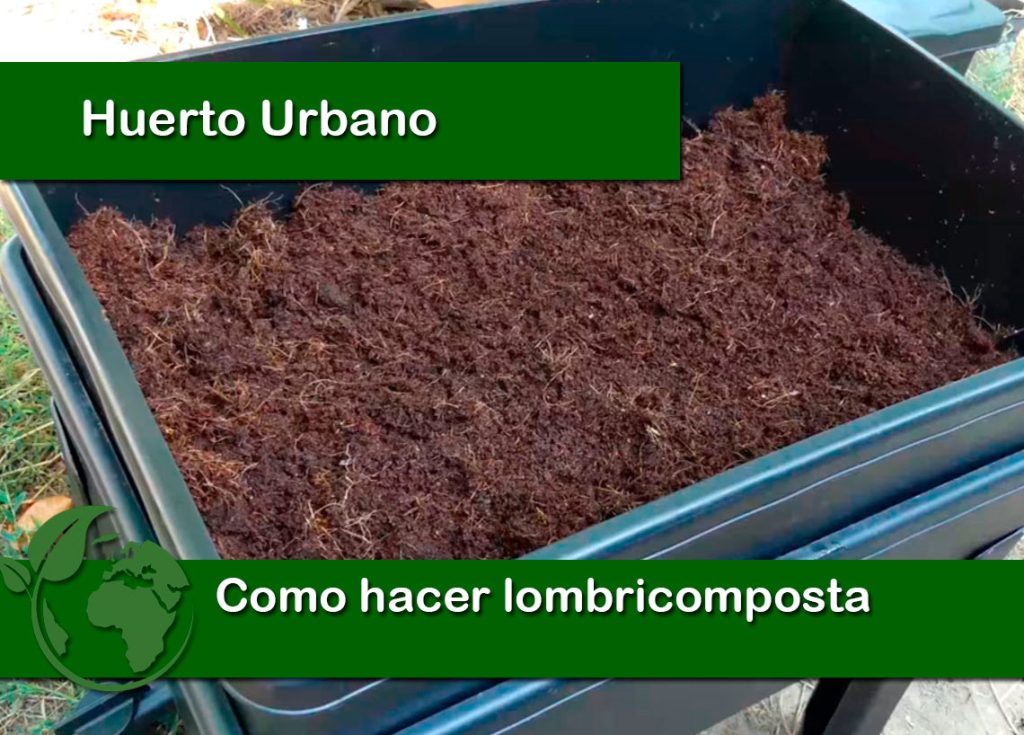 Como hacer lombricomposta 🌱 Th