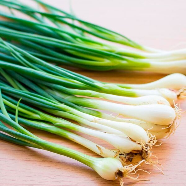 Como cultivar cebolla de verdeo - Huerto Urbano